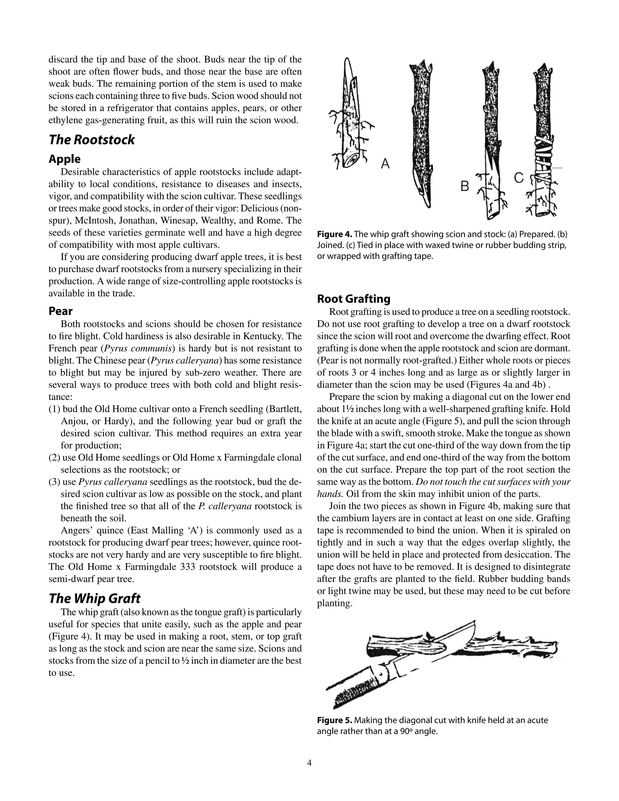 Budding and grafting | PDF