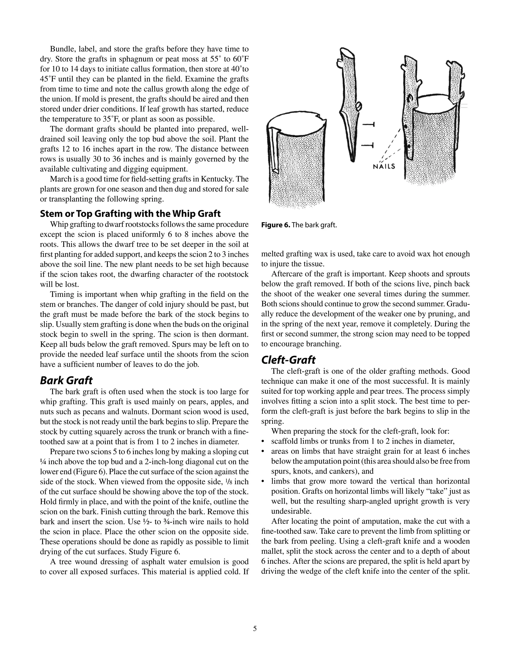 Budding and grafting | PDF