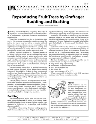 Budding and grafting | PDF