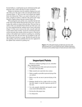 Budding and grafting | PDF