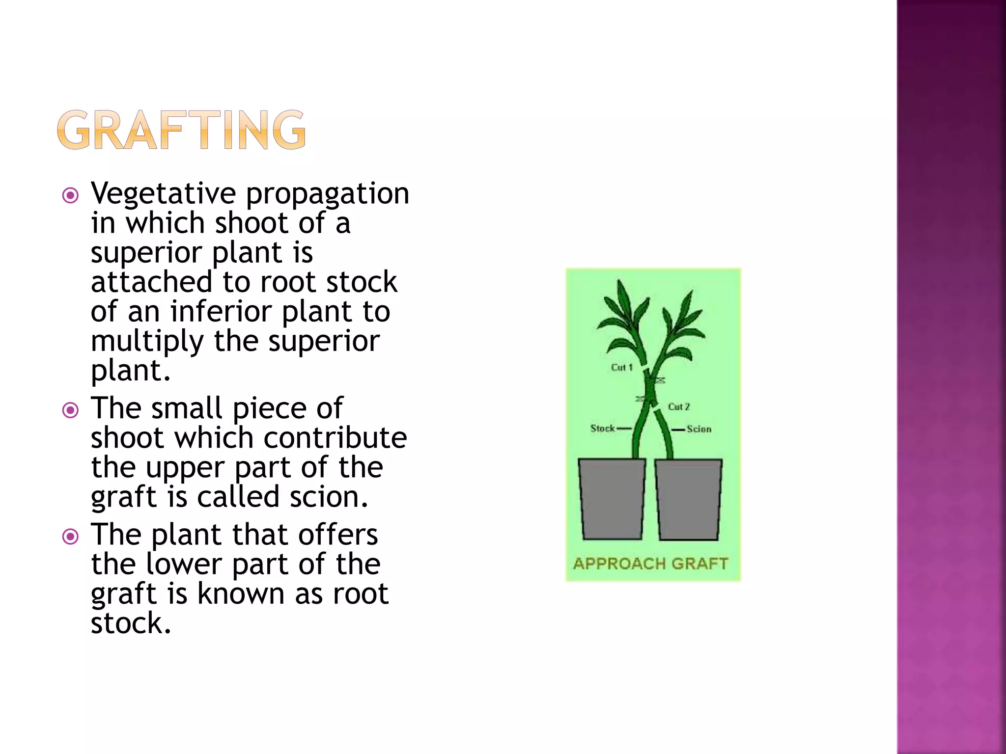 Budding & grafting | PPTX