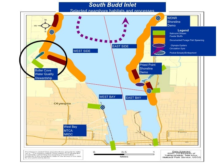 Squaxin Island Tribe Budd Inlet landscape analysis