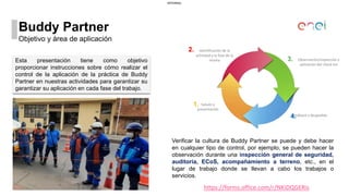 Buddy Partner- Observaciones (EECC) (1).pptx