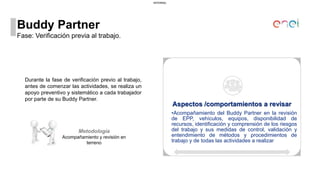 Buddy Partner- Observaciones (EECC) (1).pptx