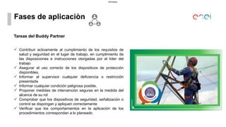 Buddy Partner- Observaciones (EECC) (1).pptx