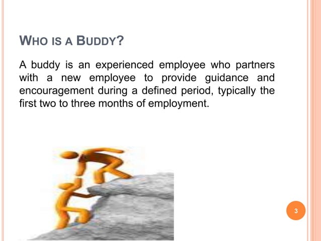 Buddy programme | PPT