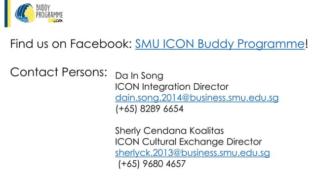 Buddy Programme 101 | PPTX | College Education | Education