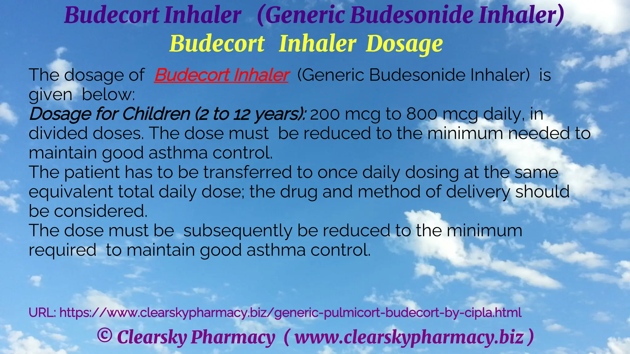 Budecort Inhaler (Generic Budesonide Inhaler) | PPT
