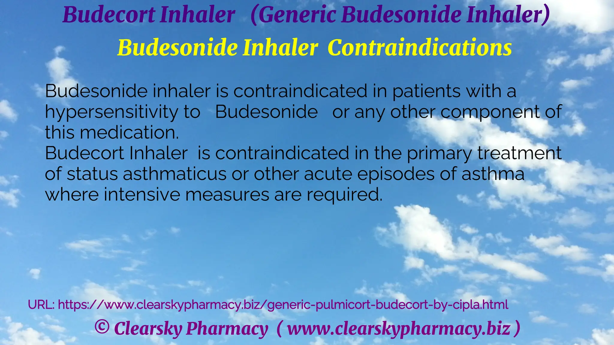 Budecort Inhaler (Generic Budesonide Inhaler) | PPT