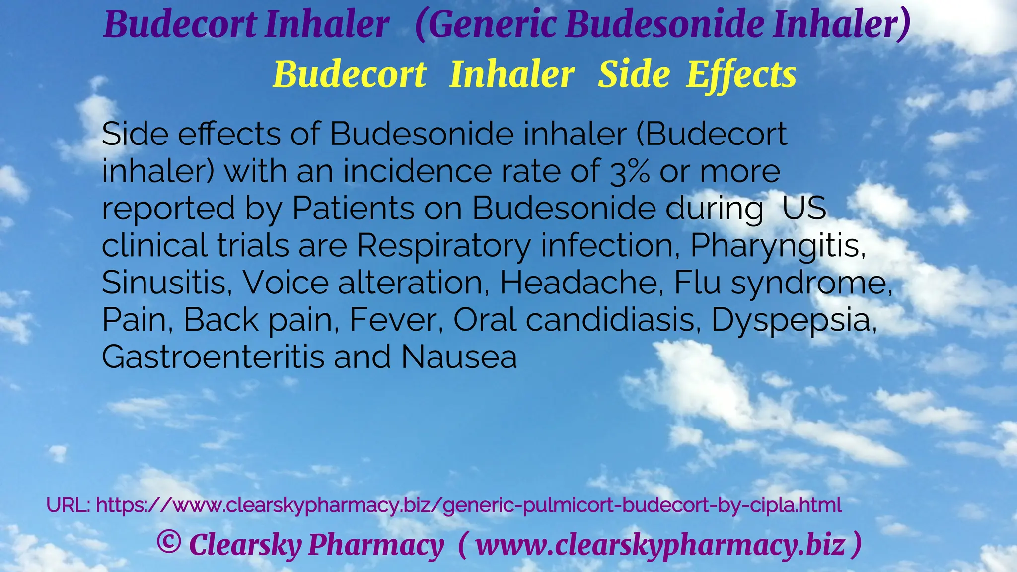 Budecort Inhaler (Generic Budesonide Inhaler) | PPT
