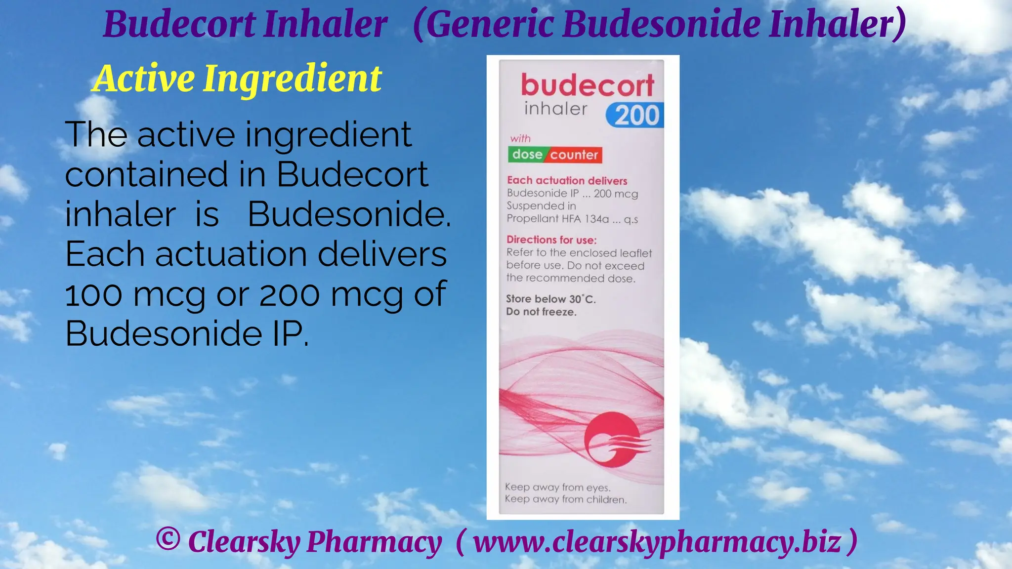 Budecort Inhaler (Generic Budesonide Inhaler) | PPT