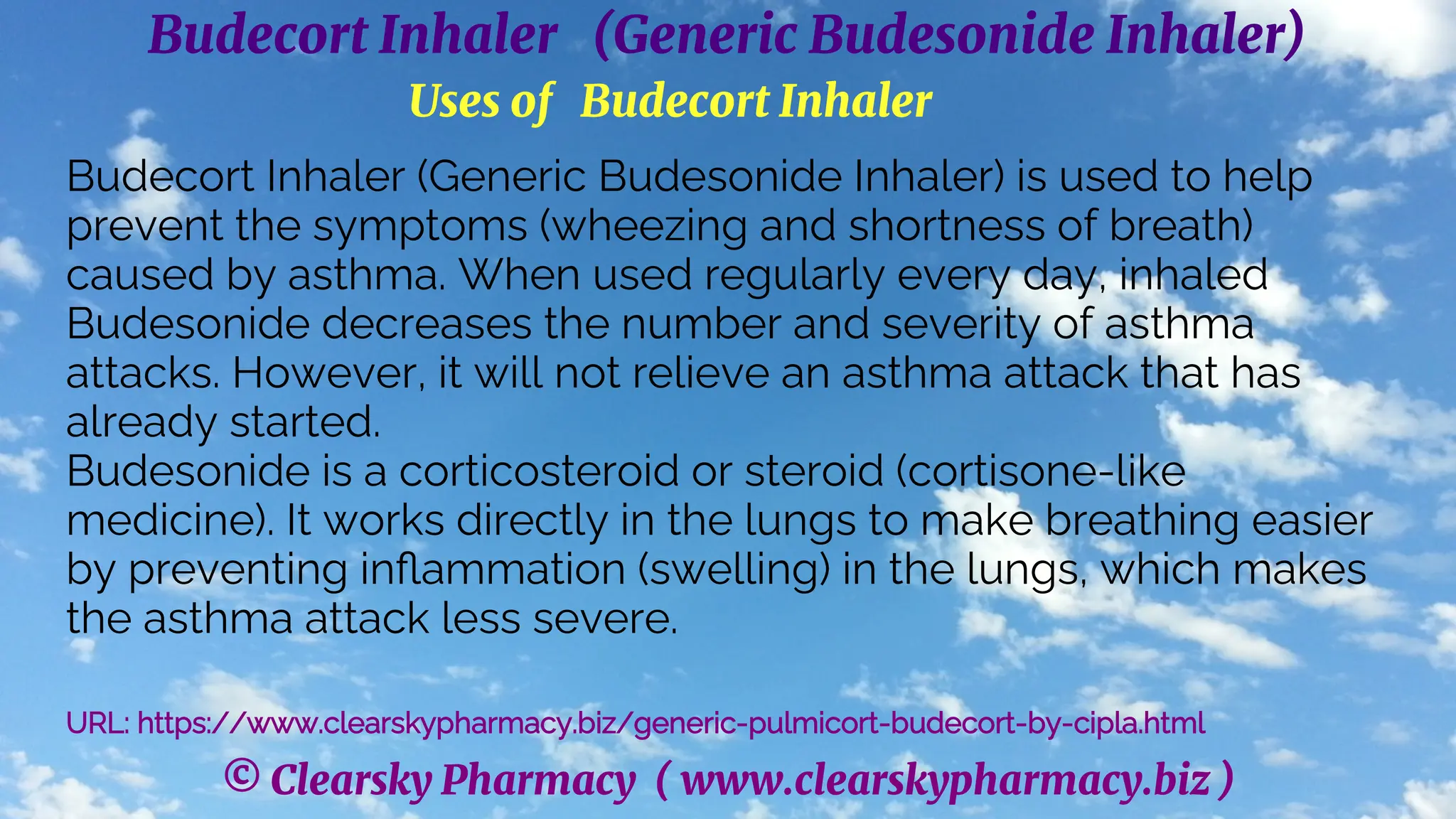 Budecort Inhaler (Generic Budesonide Inhaler) | PPT