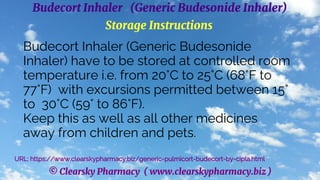 Budecort Inhaler (Generic Budesonide Inhaler) | PDF