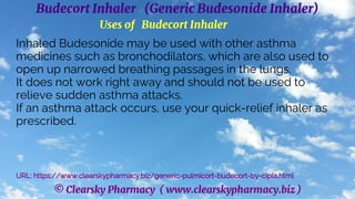 Budecort Inhaler (Generic Budesonide Inhaler) | PDF