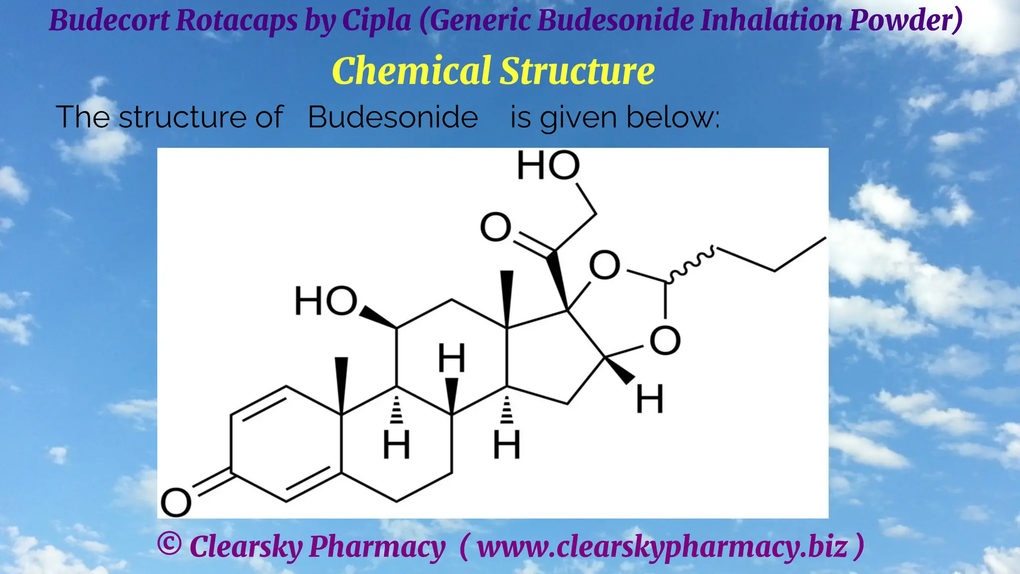 Budecort Rotacaps by Cipla (Generic Budesonide Inhalation Powder) | PPT