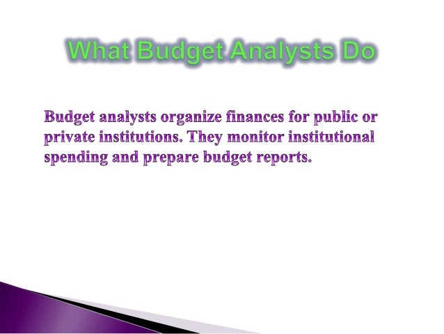 Budget Analyst