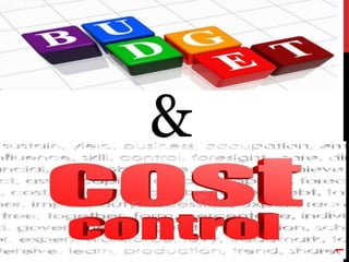 Budget and cost control | PPTX