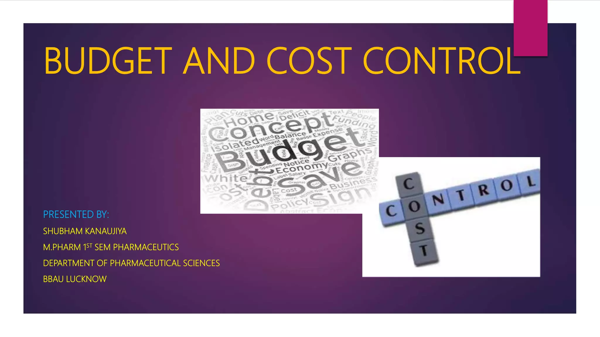 Budget and cost control slide share | PPTX