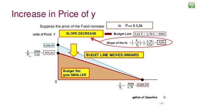 Budget Constraint | How does it Work