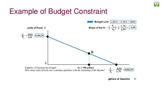 Budget Constraint | How does it Work