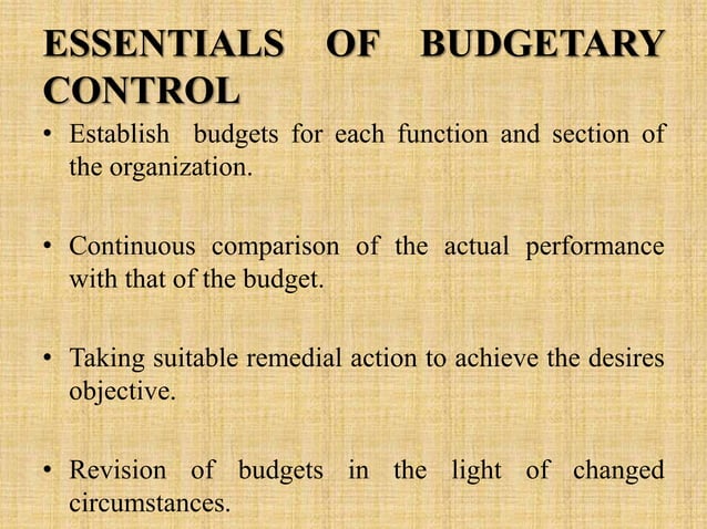 Budget control | PPTX