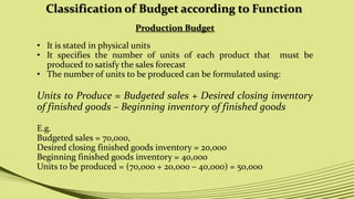 Budget Classification | PPTX