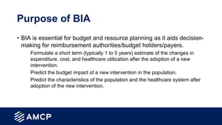 Budget_Impact_Analysis_Indetail_2021.pptx