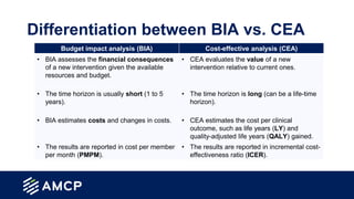 Budget_Impact_Analysis_Indetail_2021.pptx
