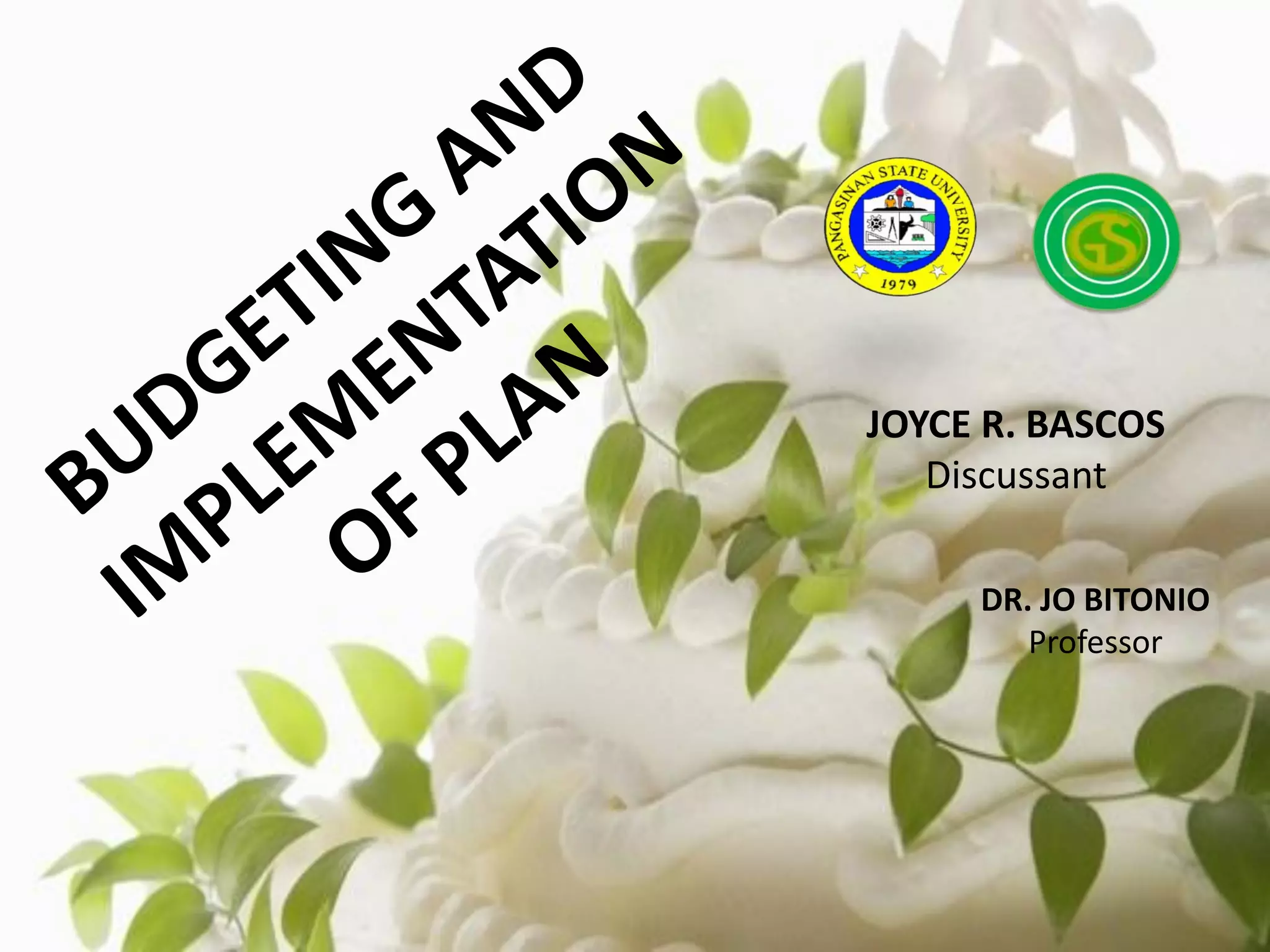 Budgeting and Implementation Plan | PDF