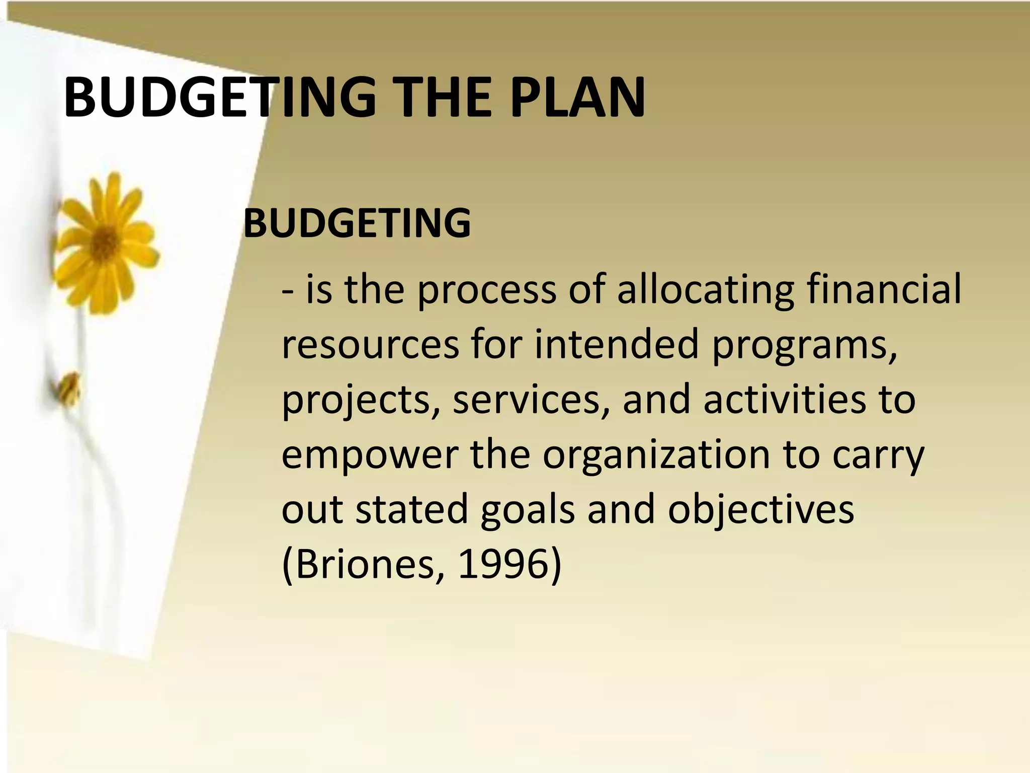 Budgeting and Implementation Plan | PDF