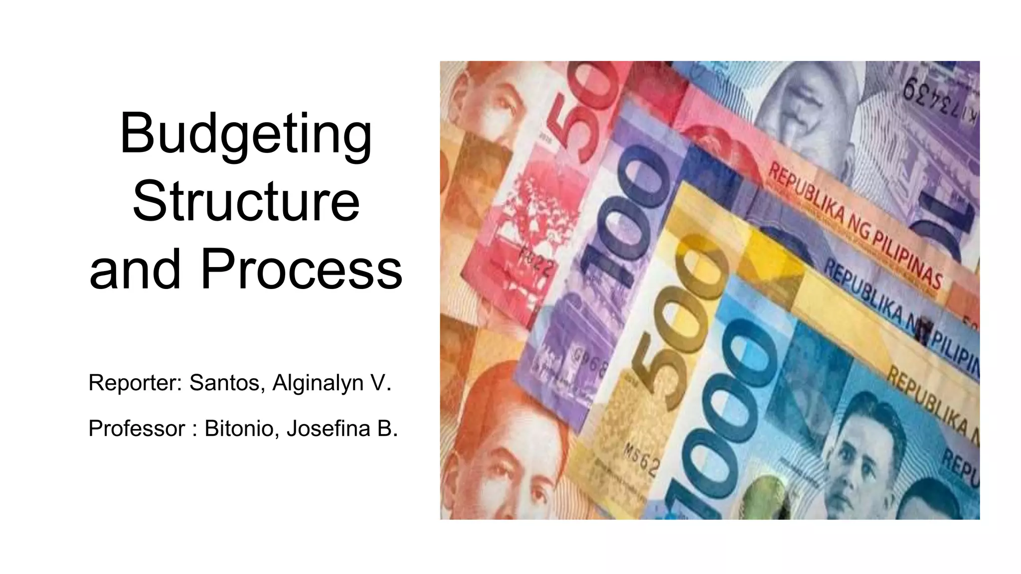 Budgeting Structure and Process.pptx