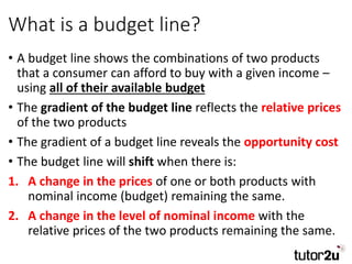 The Budget Line | PPTX