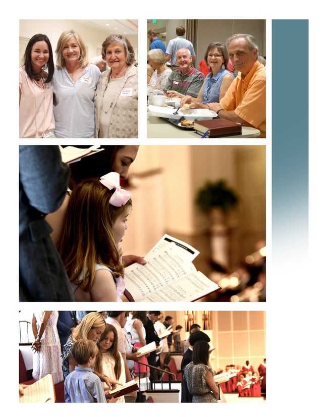 FPC Mid-Year Financial Report | PDF