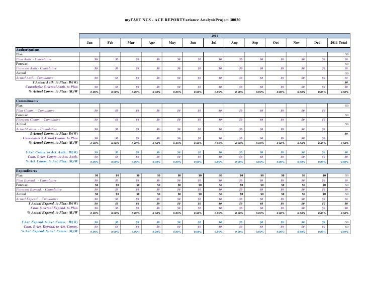 Project Budget Report Sample
