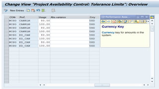 Budget Tolerance (SAP PS) | PPT