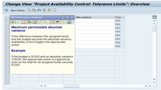 Budget tolerance | PDF