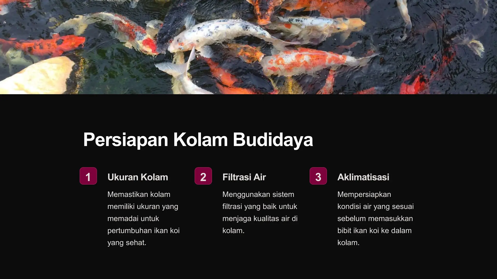 Budidaya ikan koi sebagai salah alternatif usaha | PPTX