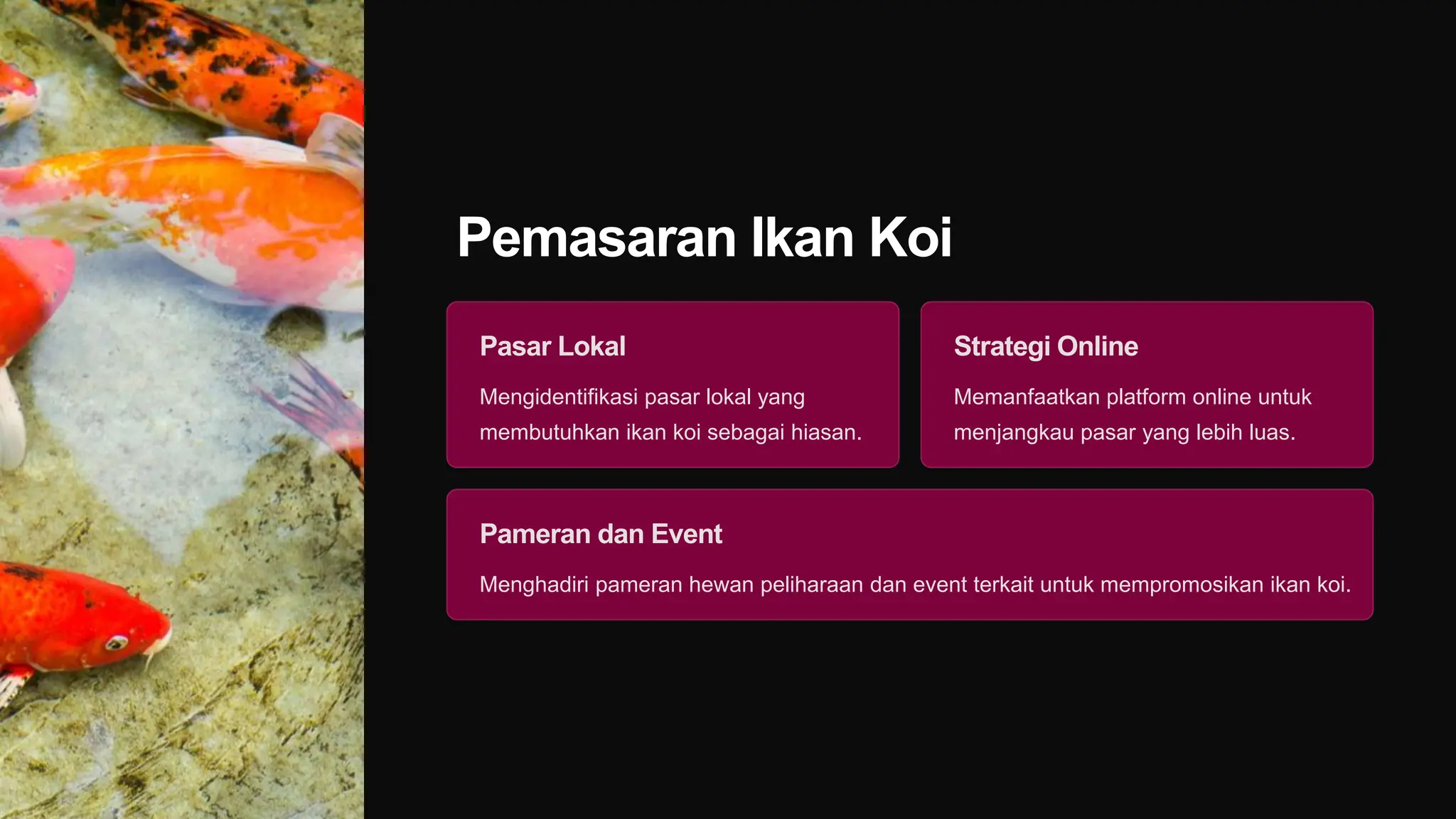 Budidaya ikan koi sebagai salah alternatif usaha | PPTX
