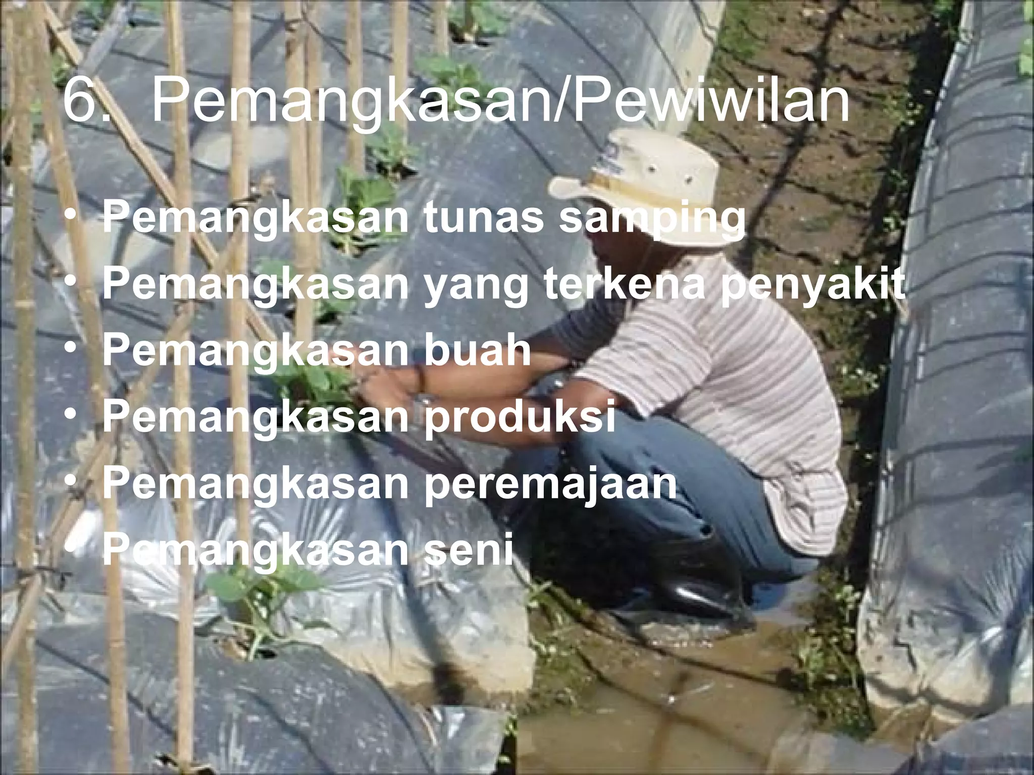 Budidaya tanaman-sayuran-iwan-1 | PPT