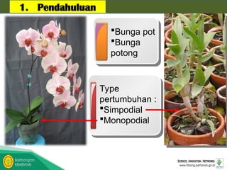 Budidaya Anggrek Terstandar BSIP Tanaman Hias | PPT