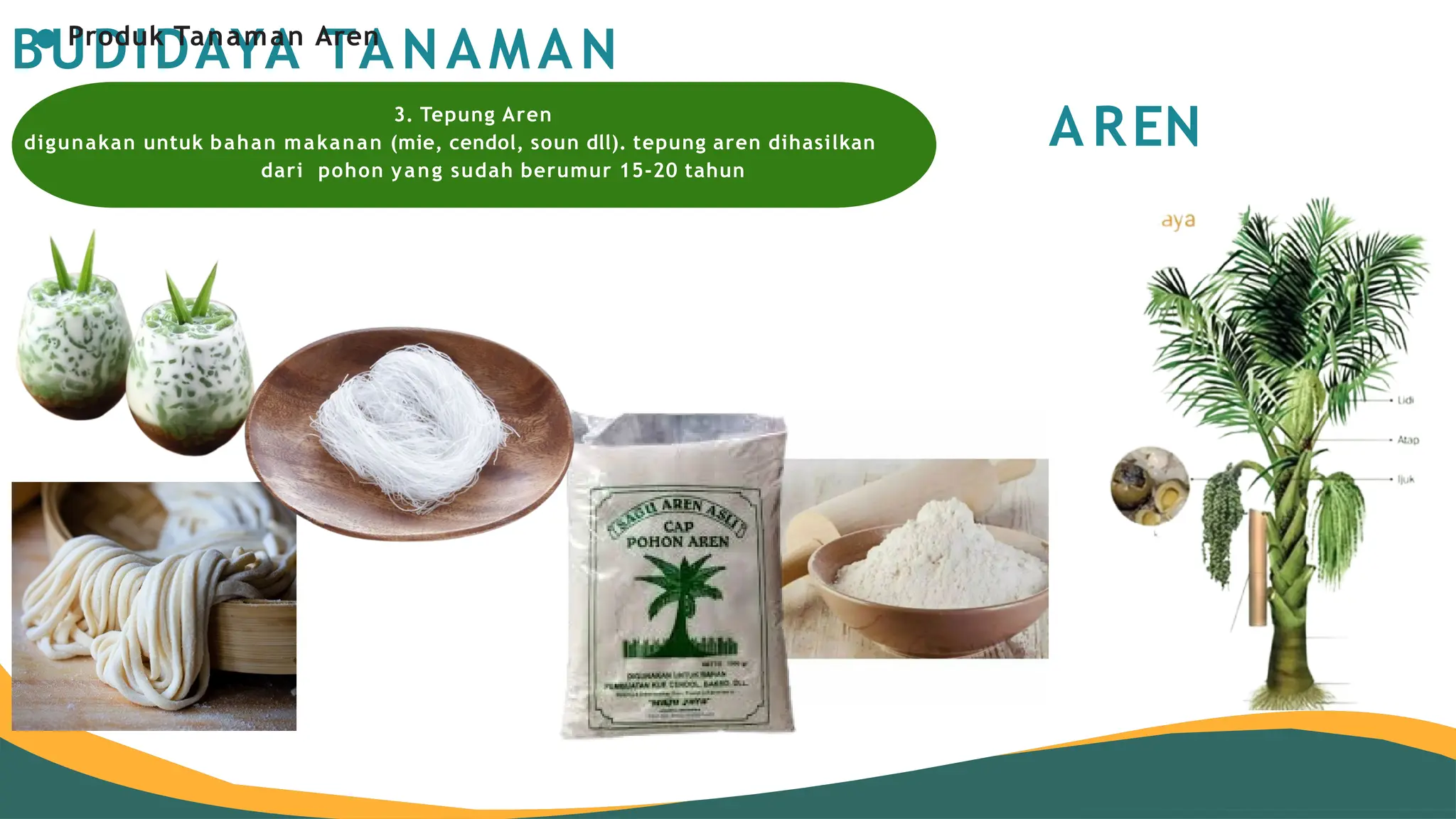 materi presentasi penyuluhan budidaya aren.pptx