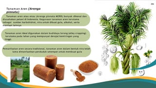 materi presentasi penyuluhan budidaya aren.pptx