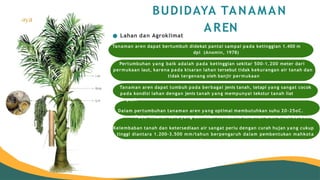 materi presentasi penyuluhan budidaya aren.pptx
