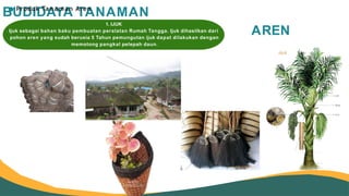 materi presentasi penyuluhan budidaya aren.pptx