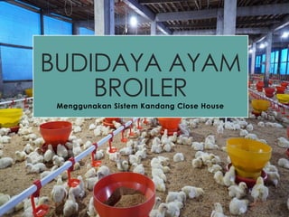 budidaya ayam broiler sistem close house | PPTX