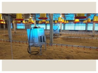 budidaya ayam broiler sistem close house | PPTX