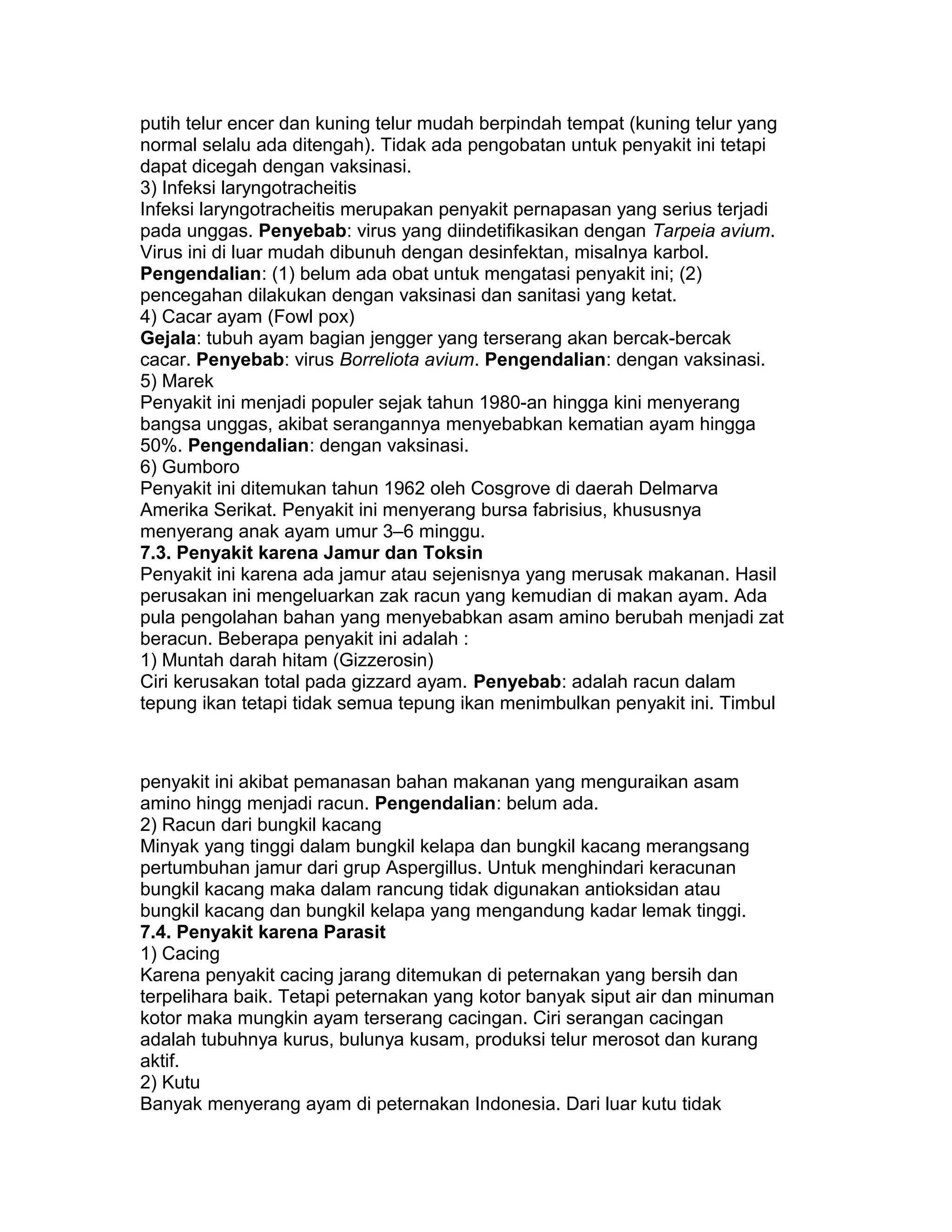 Budidaya ayam petelur | DOC