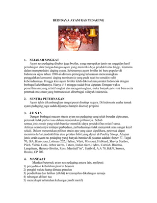 Budidaya ayam ras pedaging | DOC