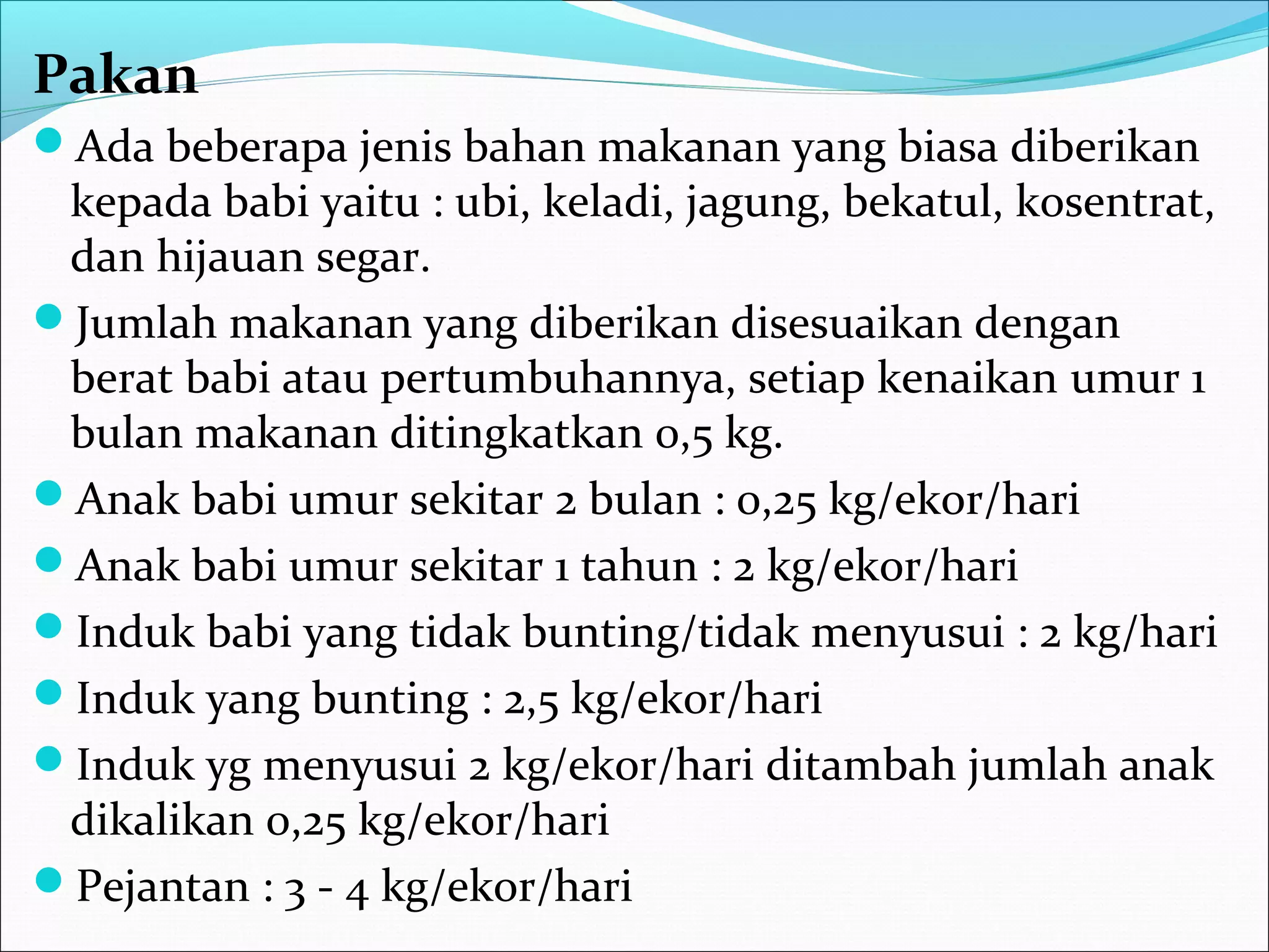 TEKNIK BUDIDAYA TERNAK BABI | PPT