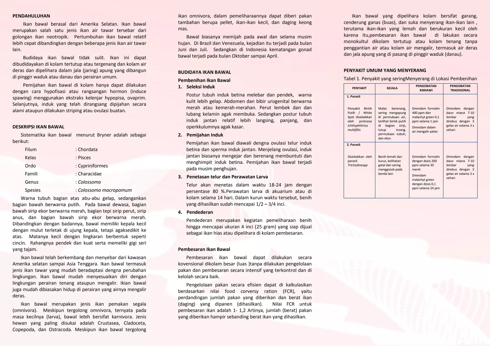 Budidaya Ikan bawal | PDF